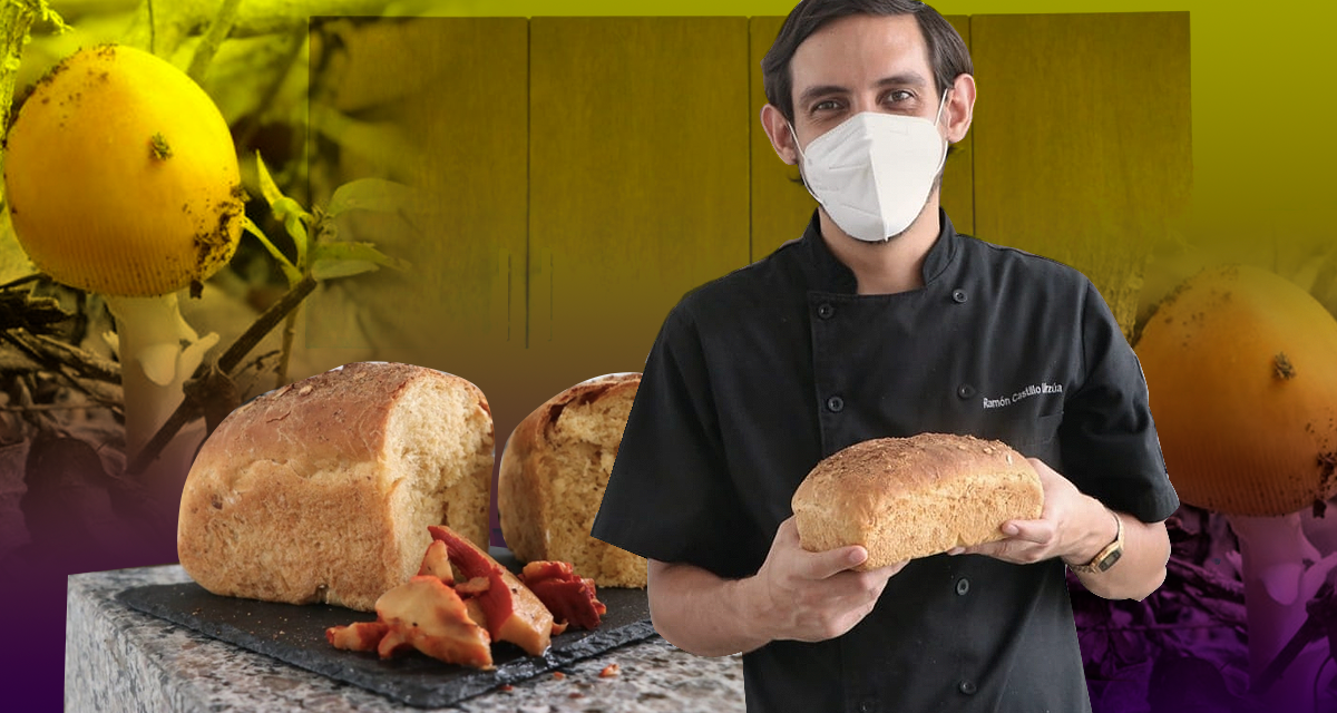 Del Terrero a tu sándwich: aprende a preparar un pan de hongos Bartolo ...