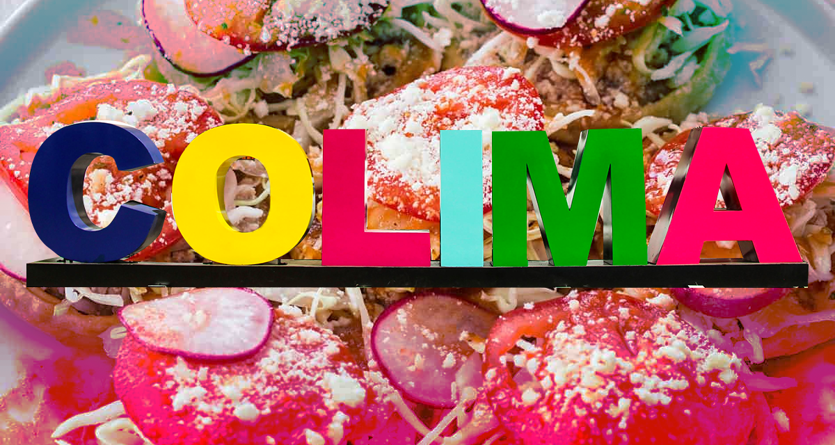 Turismo presenta guía gastronómica para reactivar economía de Colima ...