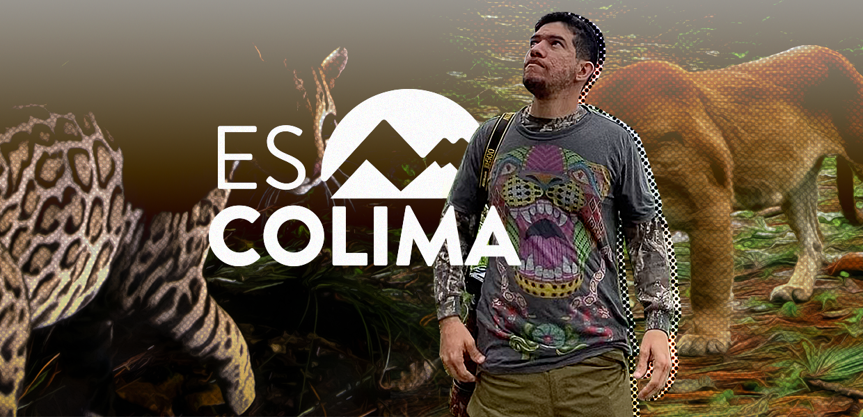 #EsColima: La sierra de Manantlán, un lugar donde los 6 grandes felinos ...