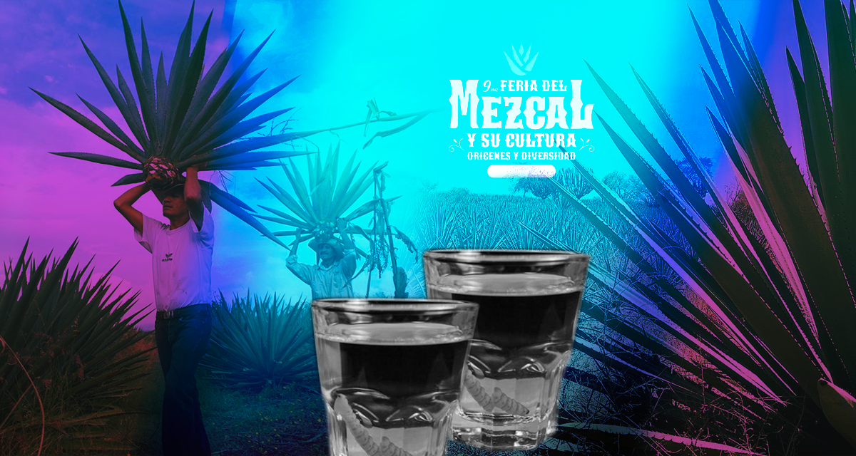 Mezcal, pulque y raicilla, protagonistas de la novena Feria del Mezcal ...